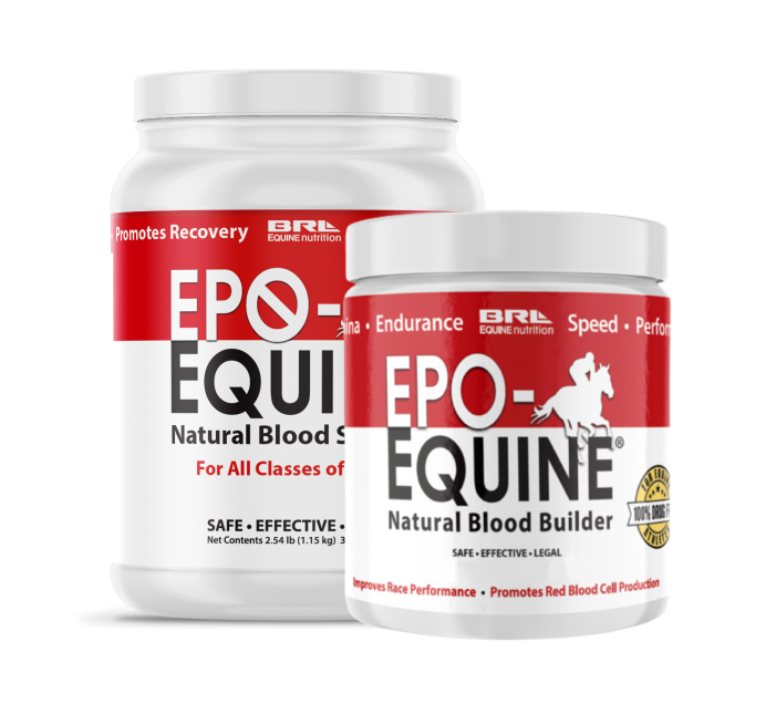 Buy EPO-Equine | Natural Blood Builder | The Trainers Locker NZ & AU
